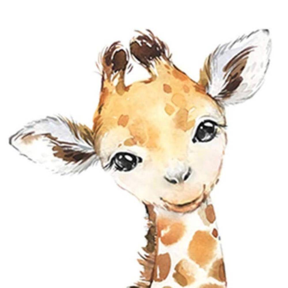 Wandtattoo Safari – Grandora