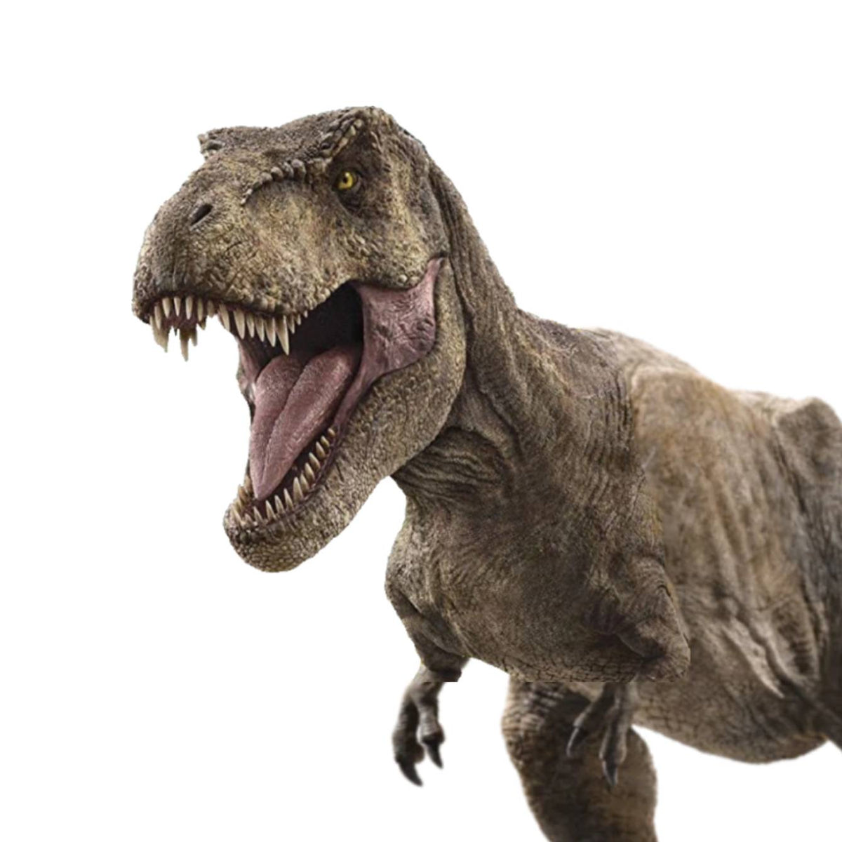 Wall decal dinosaur – Grandora